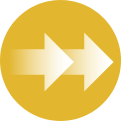 Annual Report 2020 | UNDP